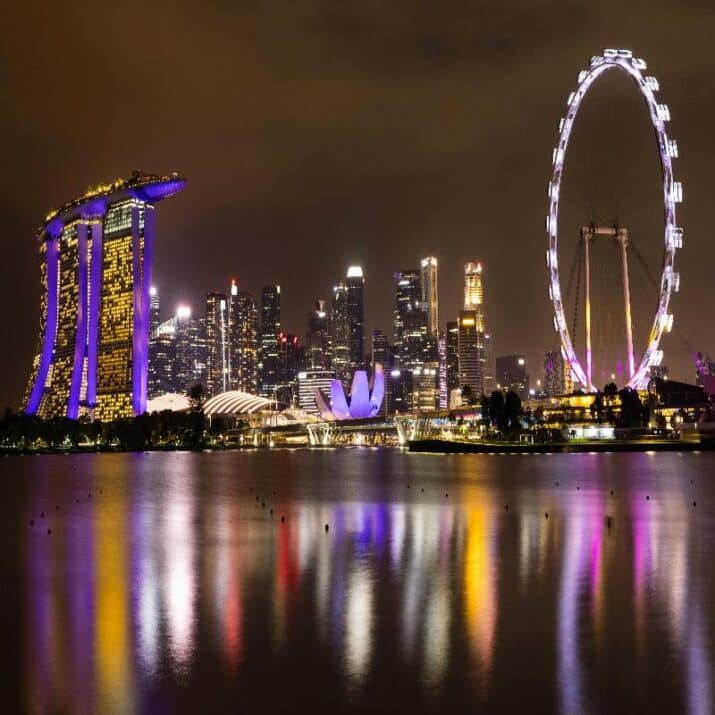 MBS Light Show: Guide - Daisy Vegabond