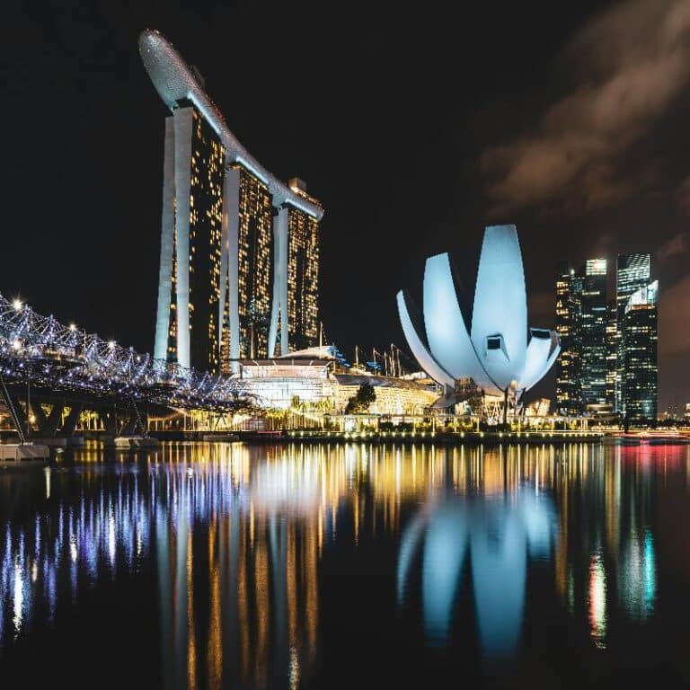 MBS Light Show: Guide - Daisy Vegabond