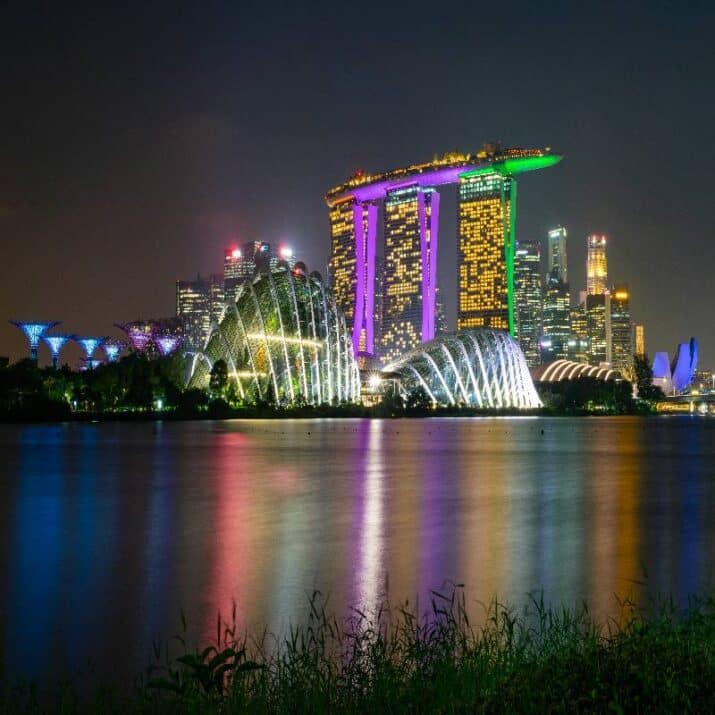 MBS Light Show: Guide - Daisy Vegabond